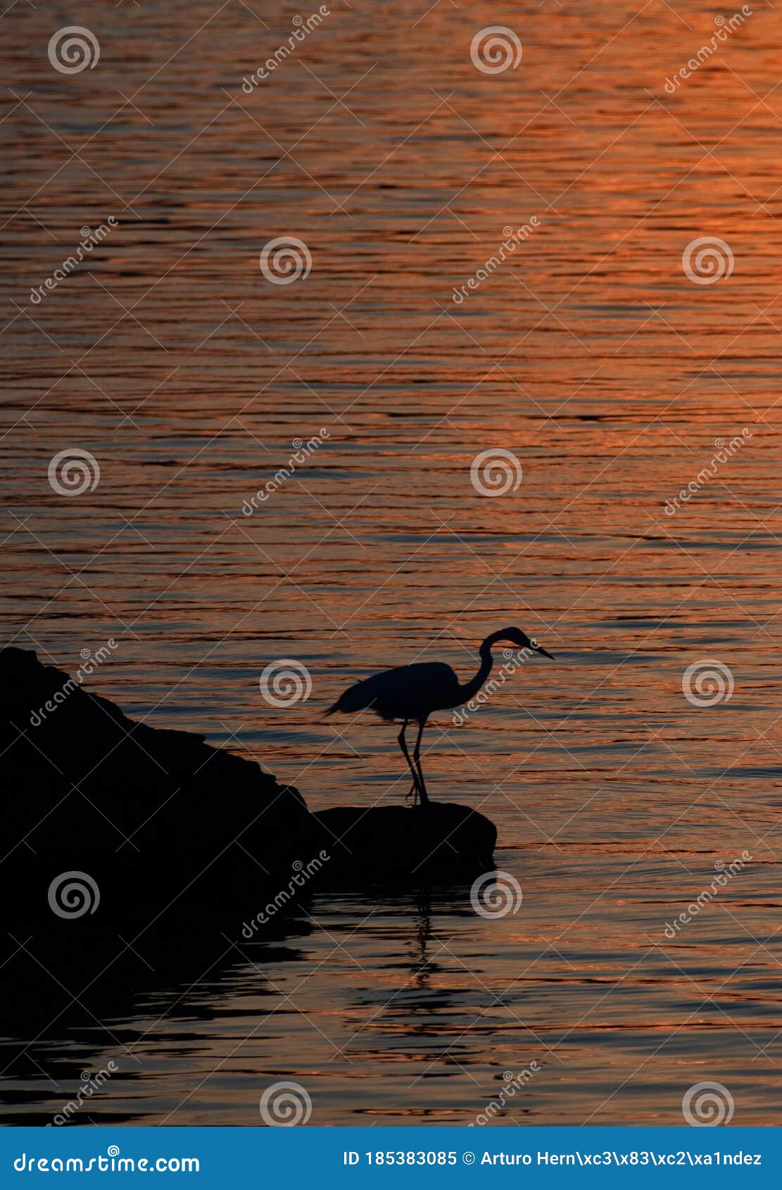 A Shadow Waiting To Be Lost in the Night Stock Image - Image of lost ...