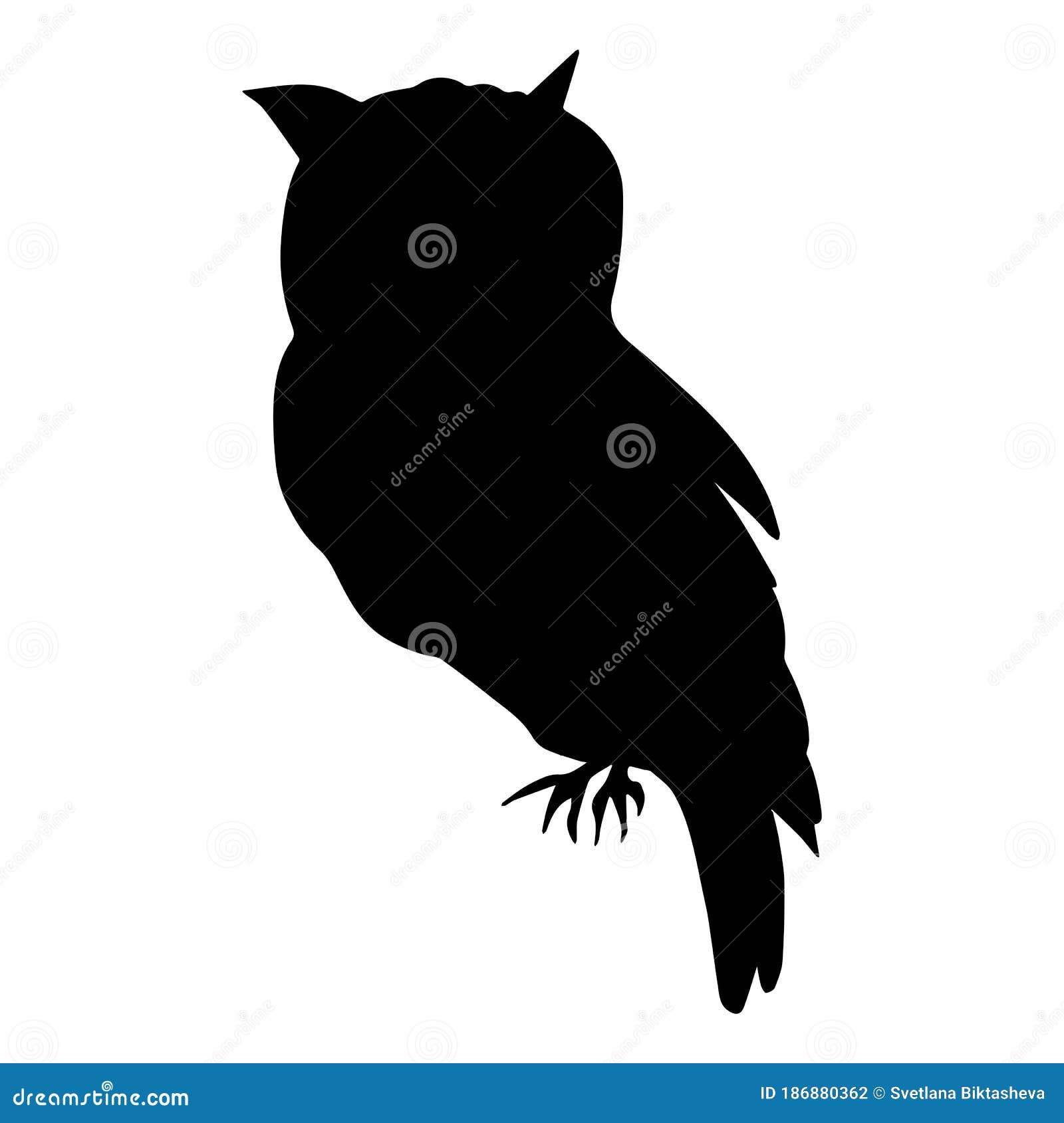 Shadow of a Walking Owl on a White Background Stock Vector ...