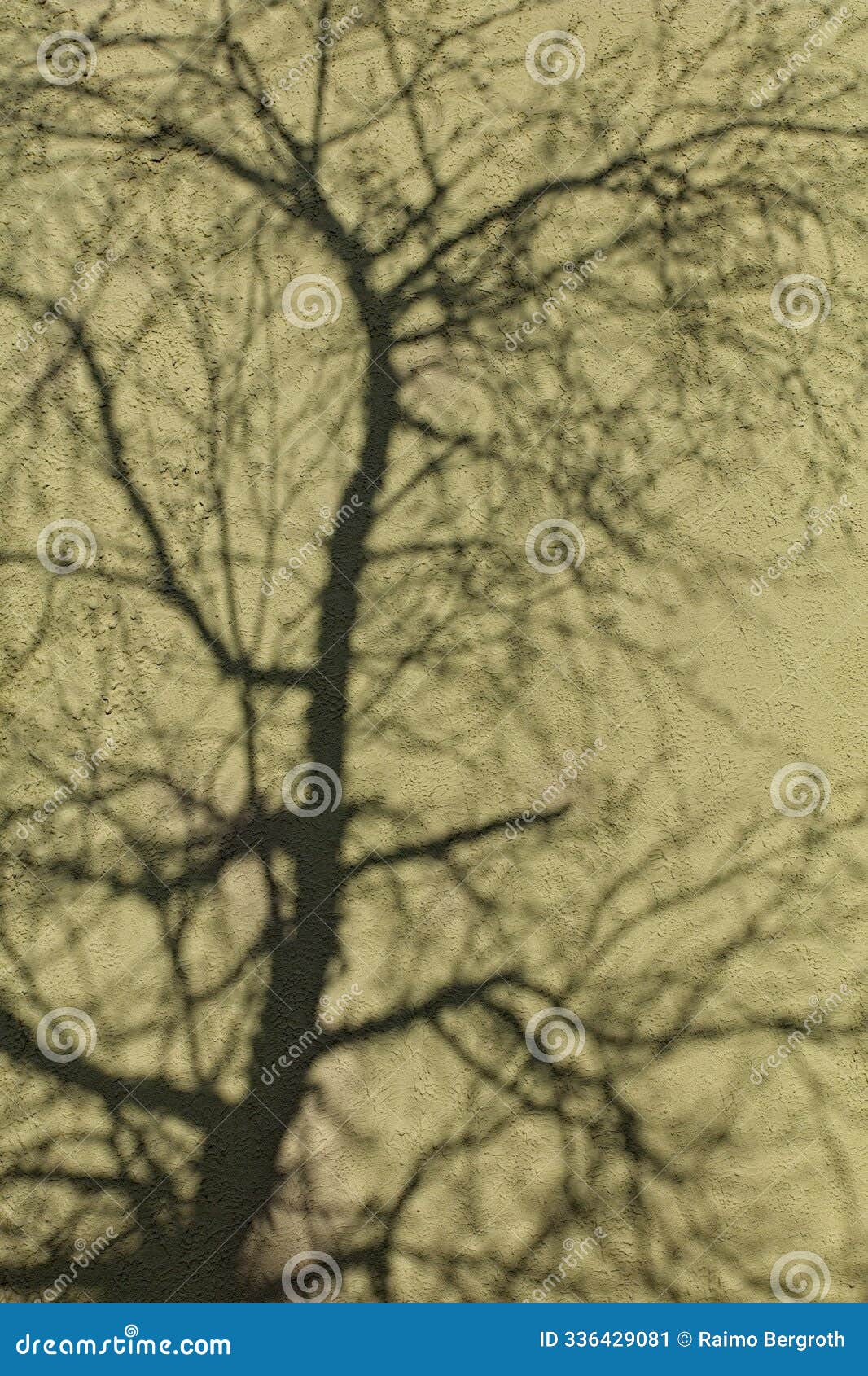 Shadow on wall. stock image. Image of weather, branch - 336429081