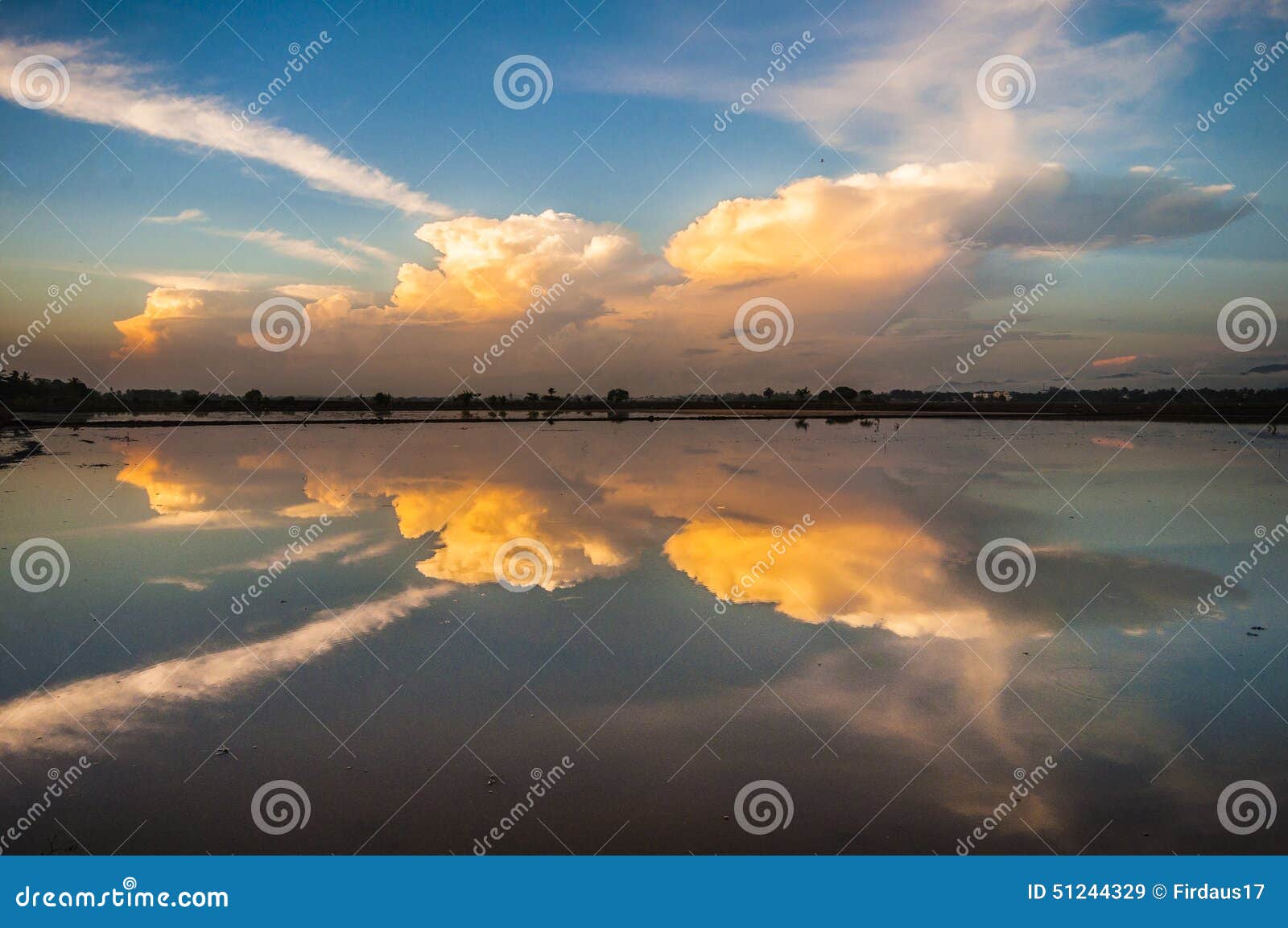 Shadow at the water stock image. Image of long, time - 51244329