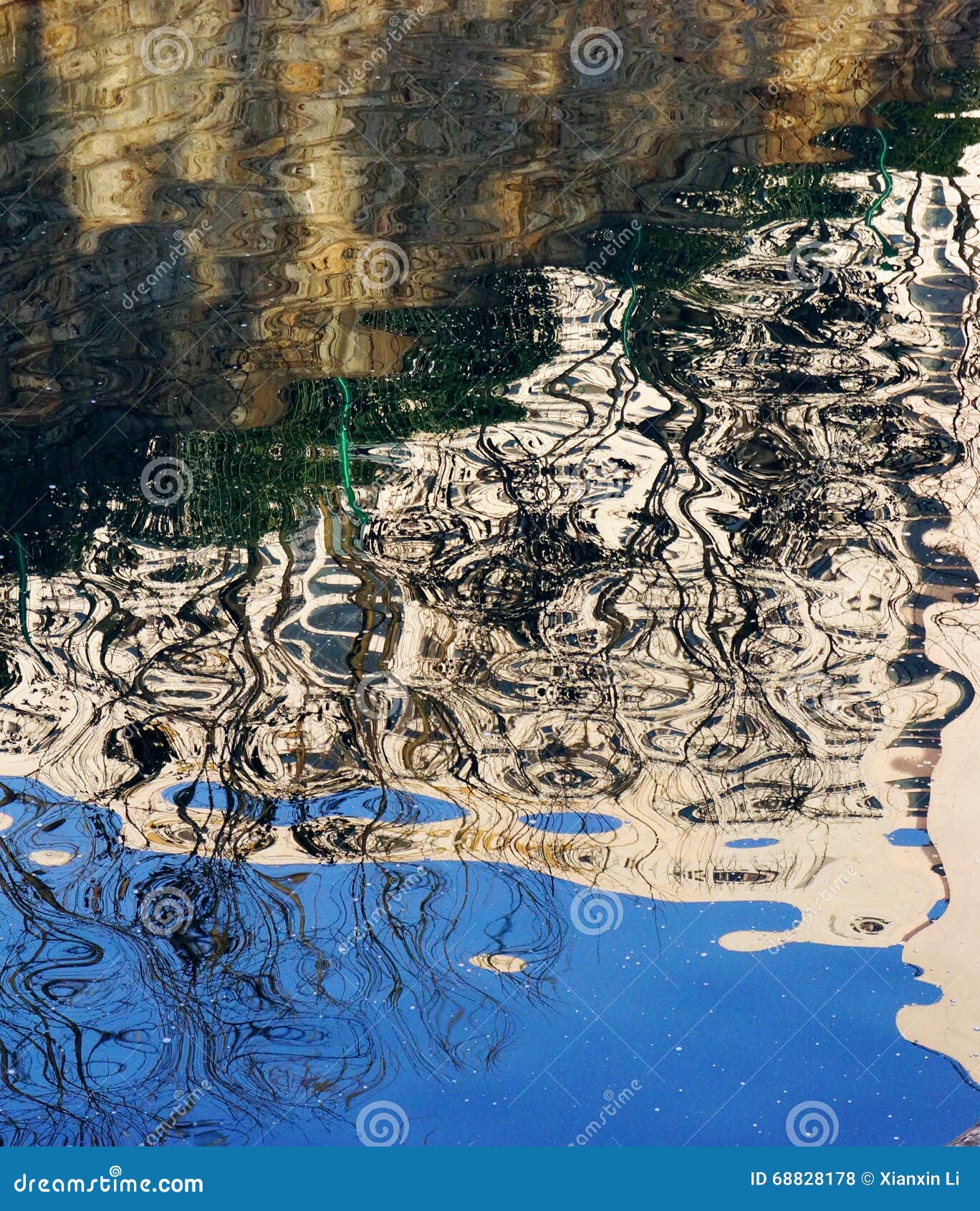 Shadow in the Water stock photo. Image of clear, trees - 68828178