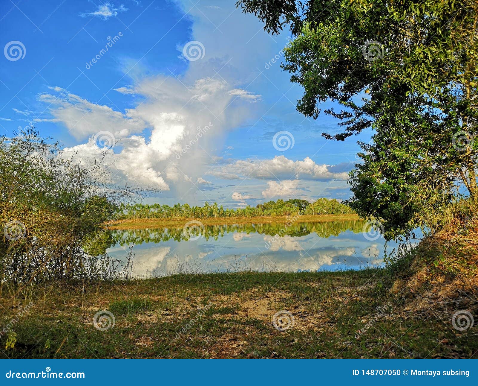 The Shadow in the Water River on the Way Sumer Stock Photo - Image of ...