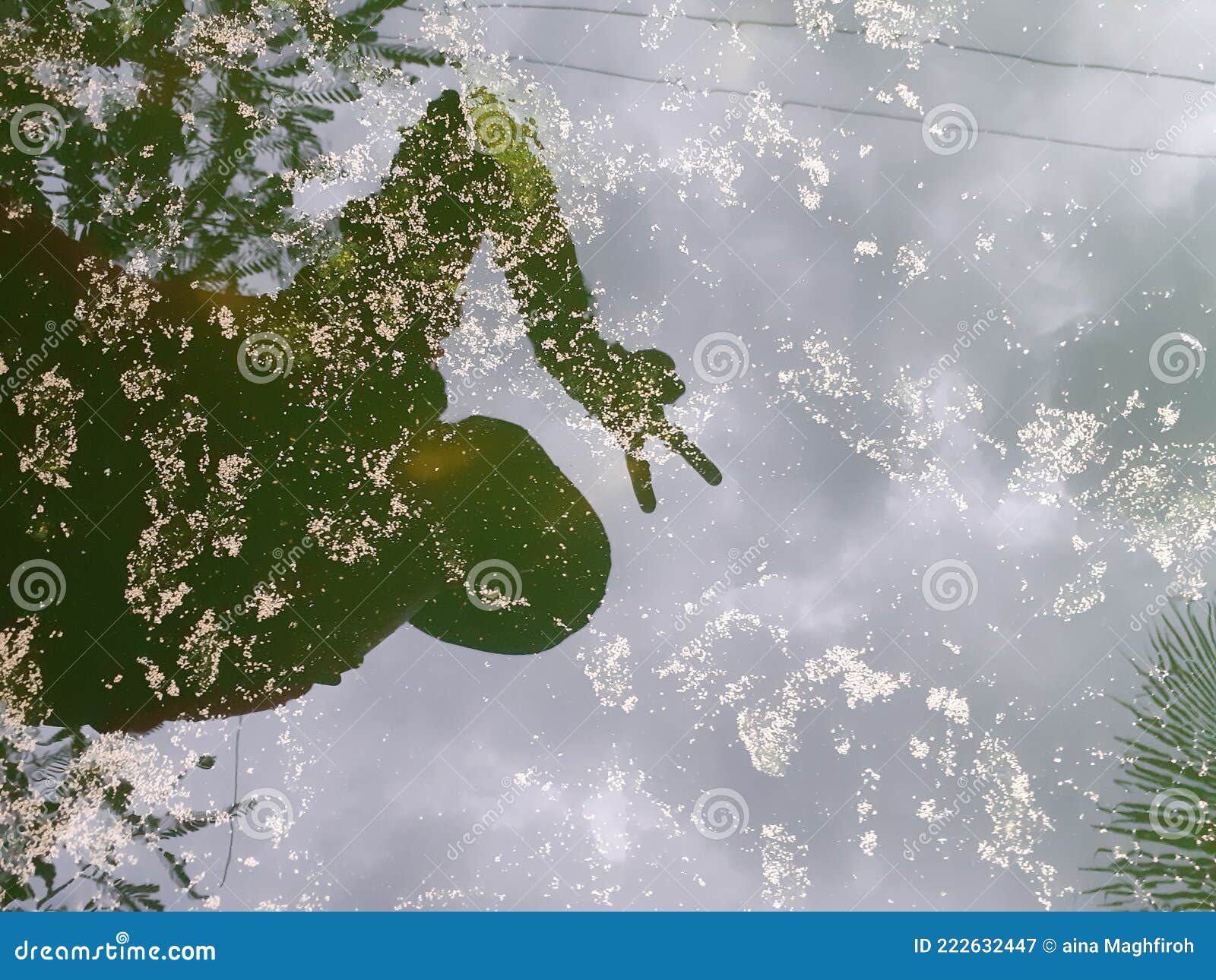 Shadow in water stock image. Image of freezing, grass - 222632447