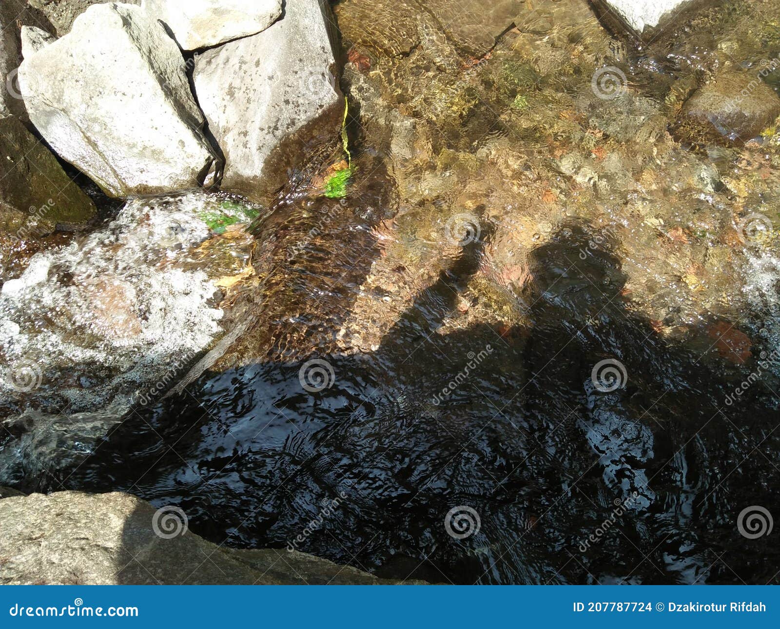 Shadow at Waterfall stock photo. Image of geology, plant - 207787724