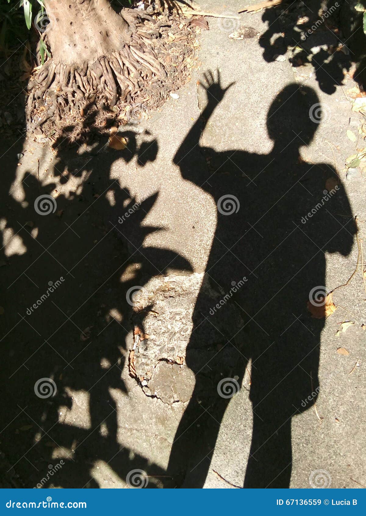 Shadow waving stock image. Image of vegetation, wave - 67136559