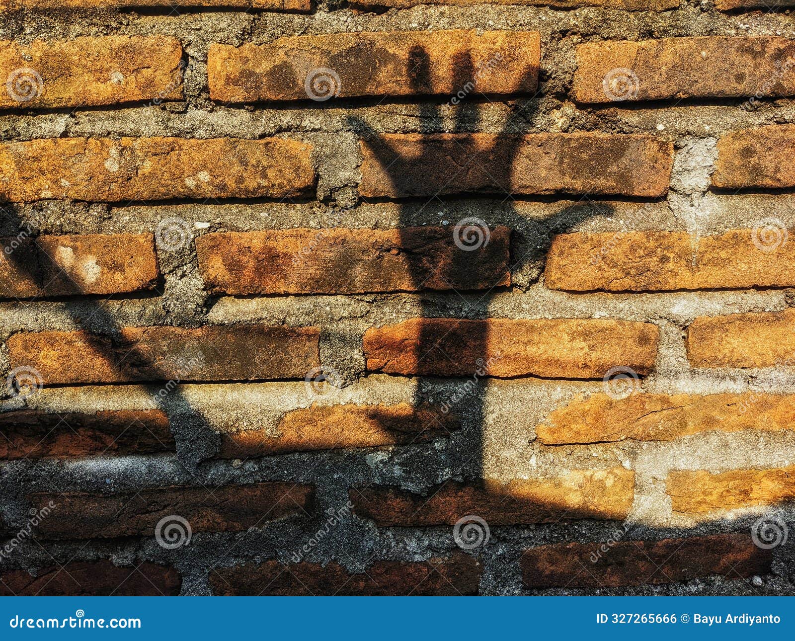 Photo of the Shadow of a Hand Waving on the Wall Stock Photo - Image of ...