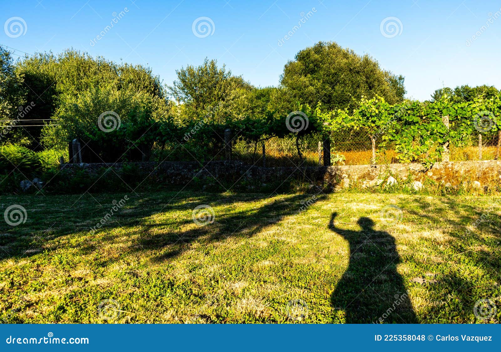 Shadow waving stock photo. Image of black, people, vintage - 225358048