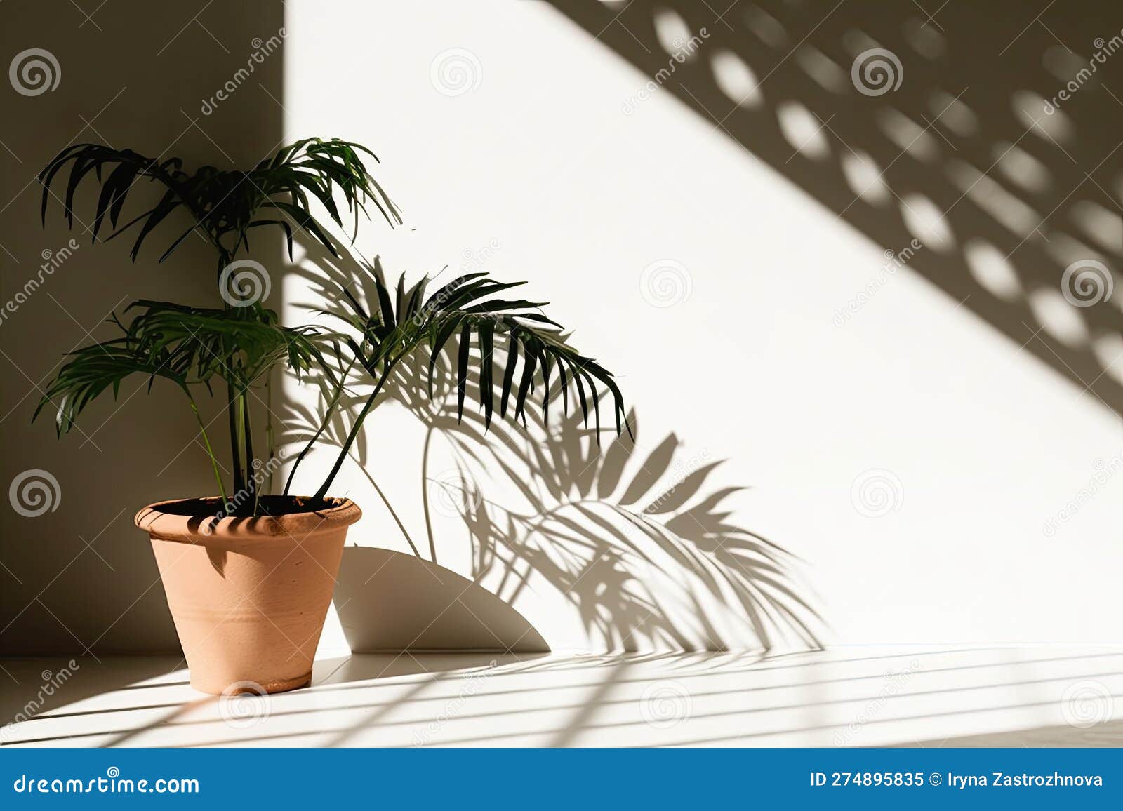 Shadow on a White Wall from a Flowerpot House Plant. Generative Ai ...