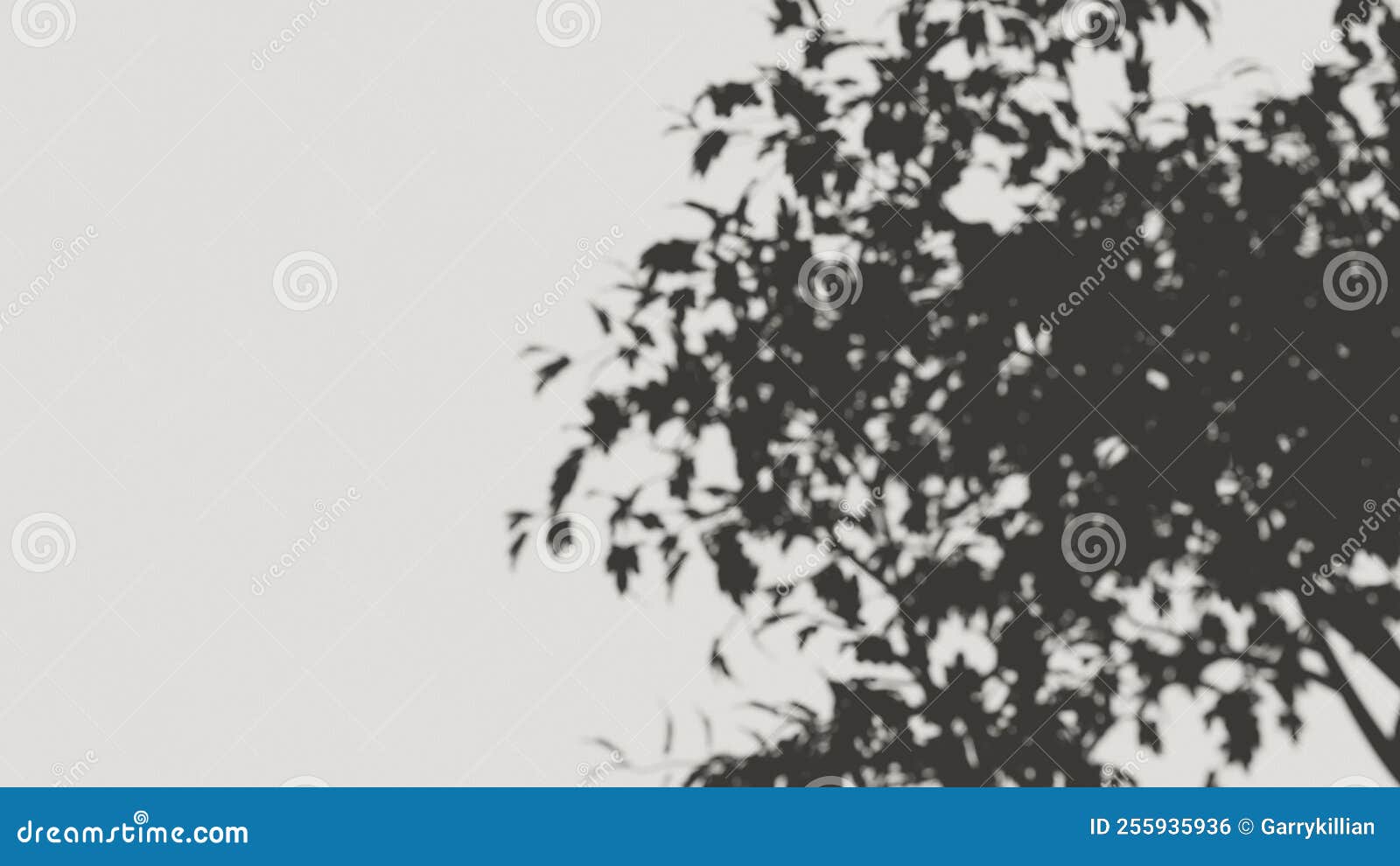 Shadow of Wind in the Tree Leaves on the Wall Loopable Background. 3d ...