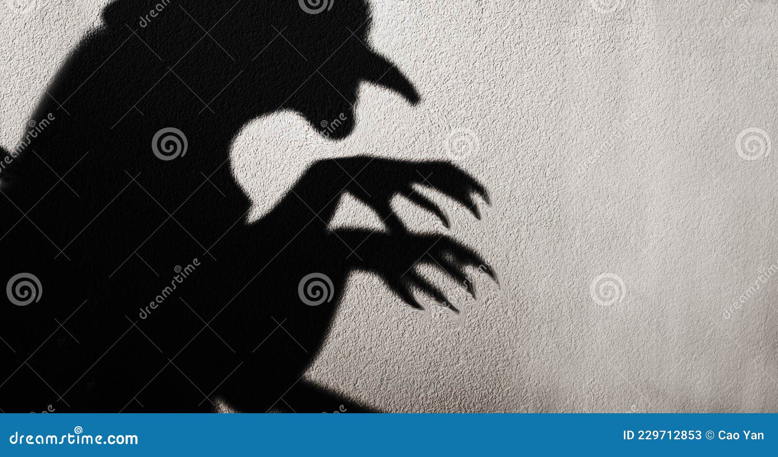 The Shadow of a Witch on the Wall during Halloween. Terrible Shadows ...