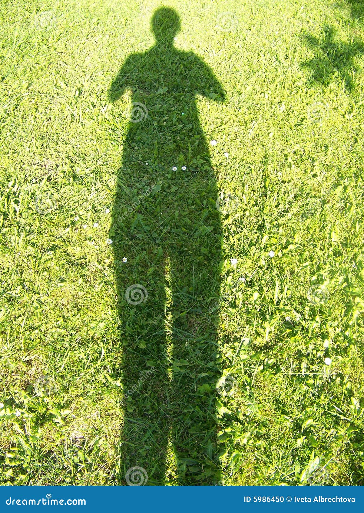 Shadow of woman stock photo. Image of woman, blade, shade - 5986450
