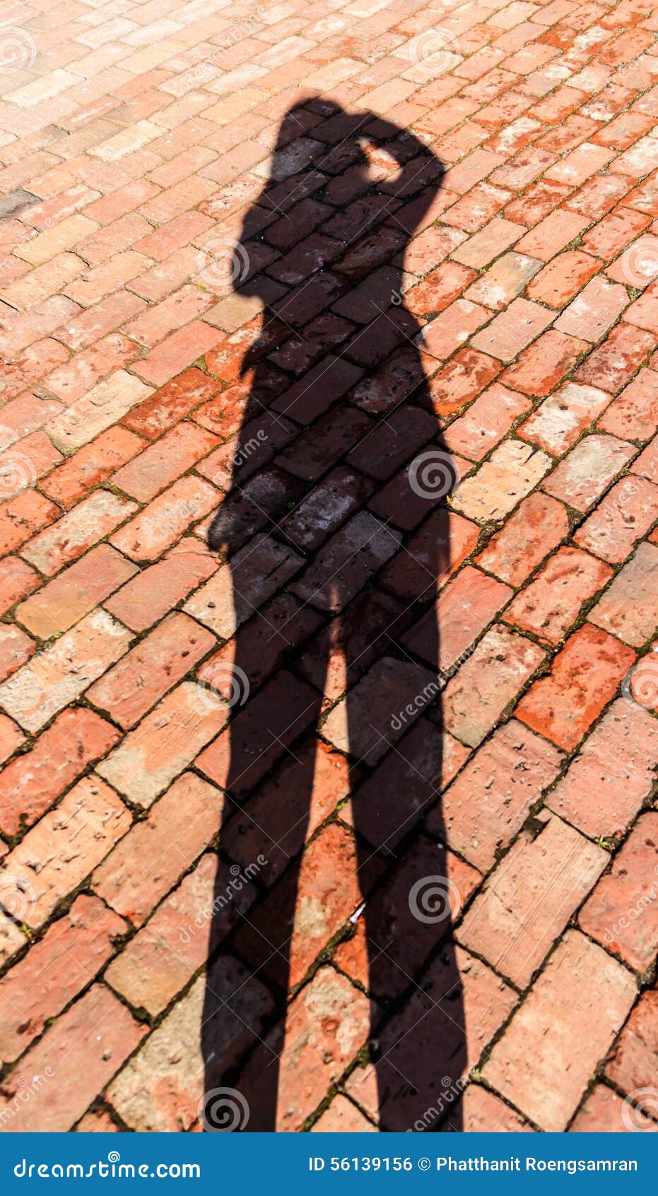 Shadow Woman on the Floor, Take a Picture Stock Photo - Image of woman ...