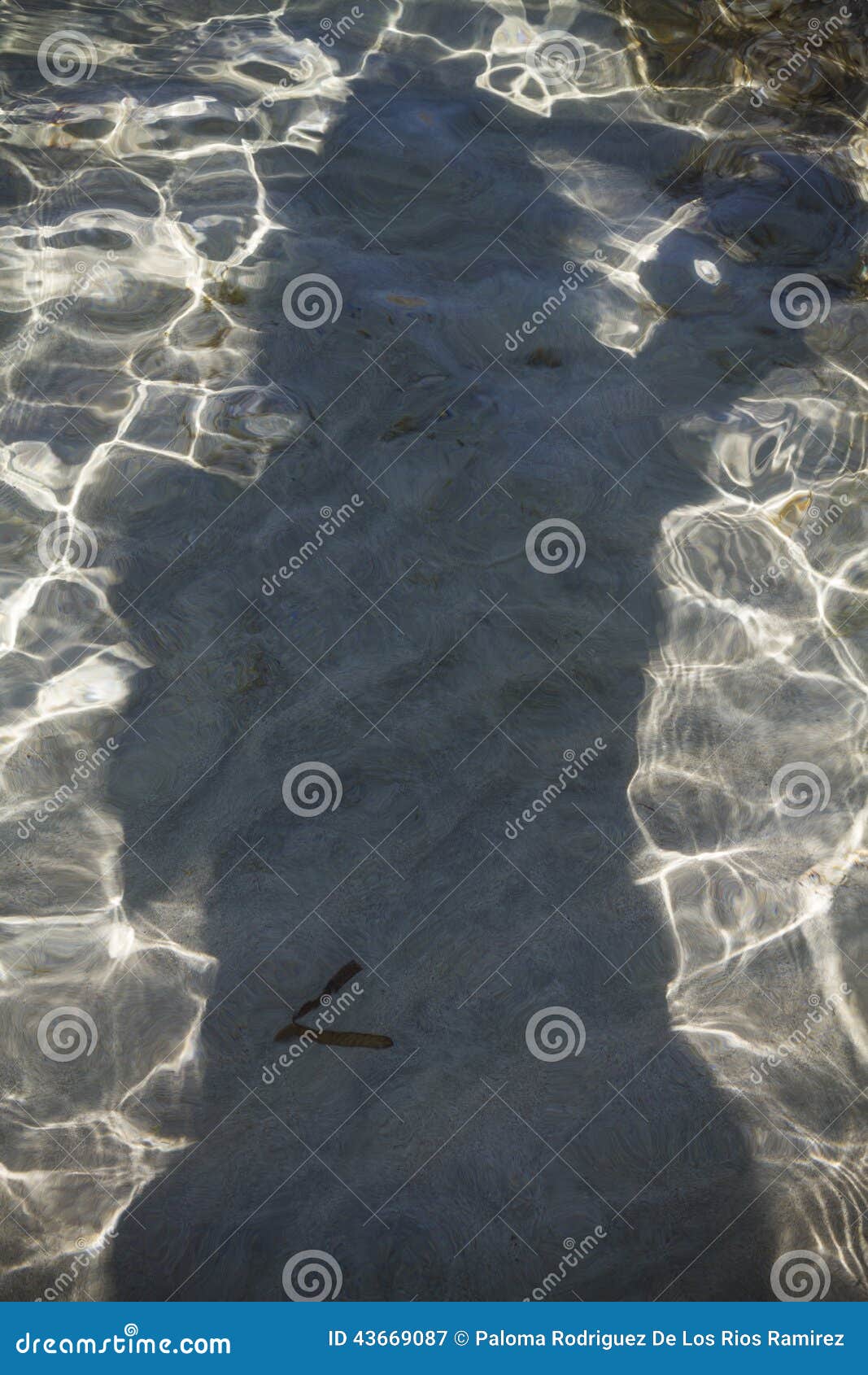 Shadow of woman in the sea stock image. Image of beach - 43669087