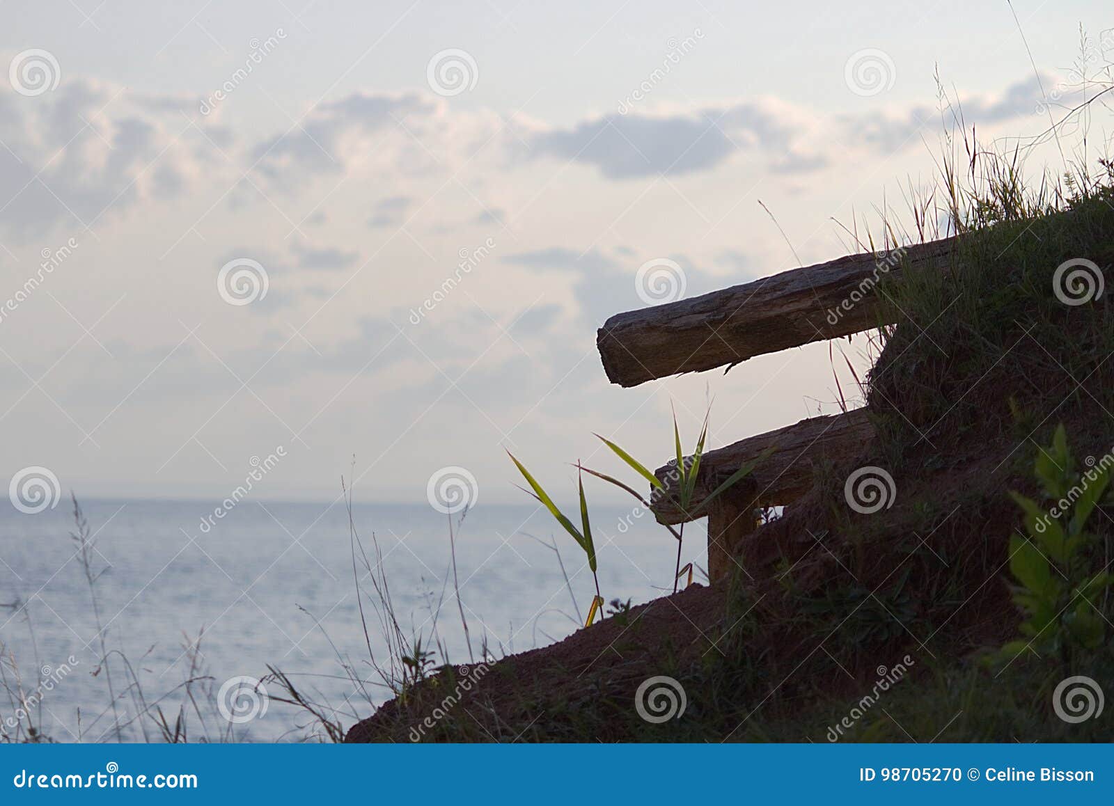 Shadow of wood logs stock photo. Image of logs, cloudy - 98705270