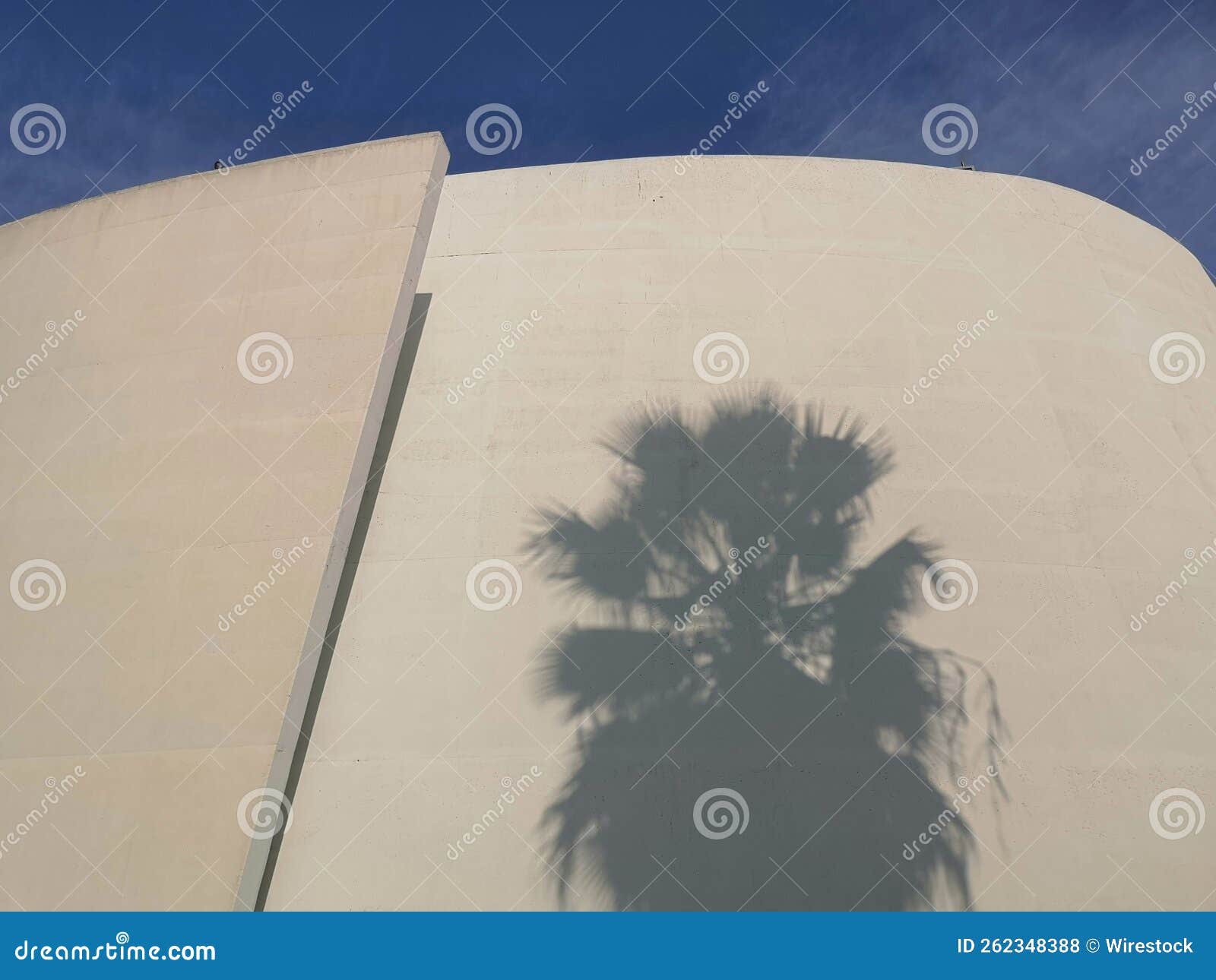 Shadowof a Palm Tree Falling on a Building Stock Photo - Image of leaf ...