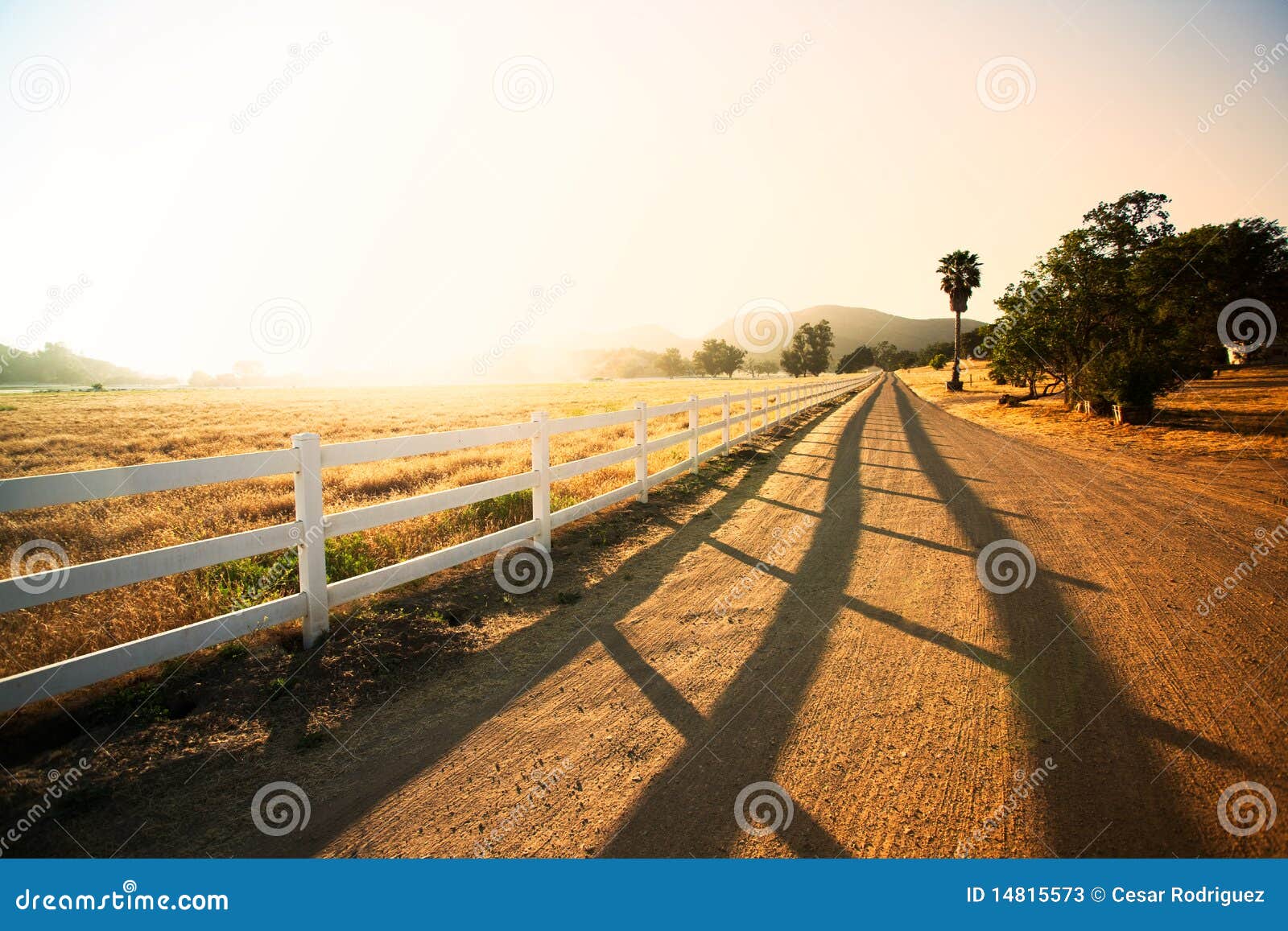 Shadows stock image. Image of land, grass, nature, field - 14815573