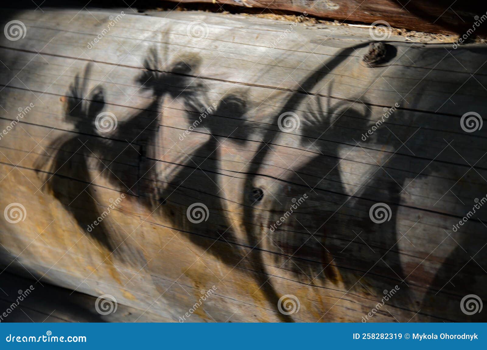 The Shadows of Angels are Reflected on the Wall Stock Image - Image of ...