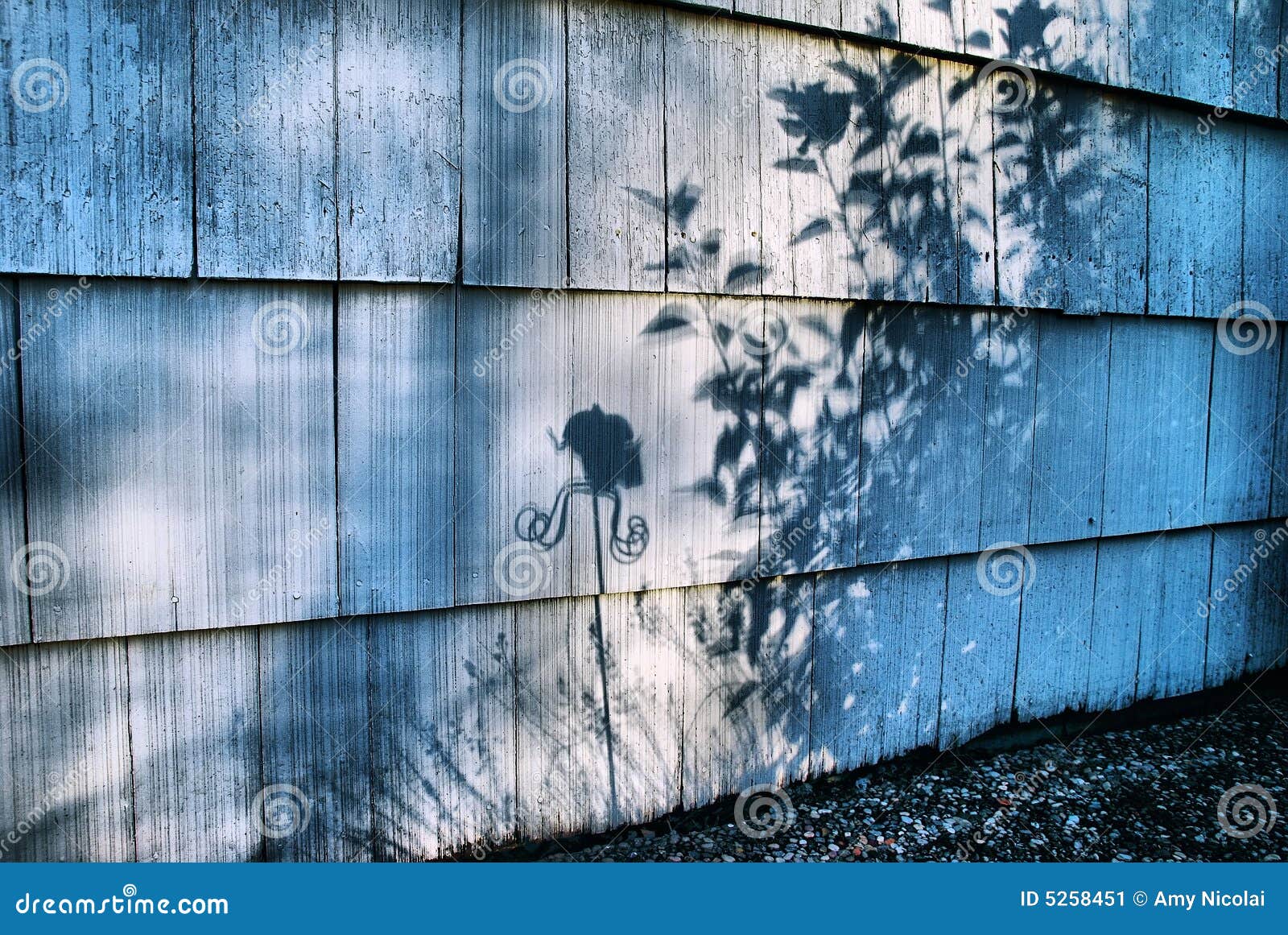 Shadows of another world stock image. Image of whimsical - 5258451
