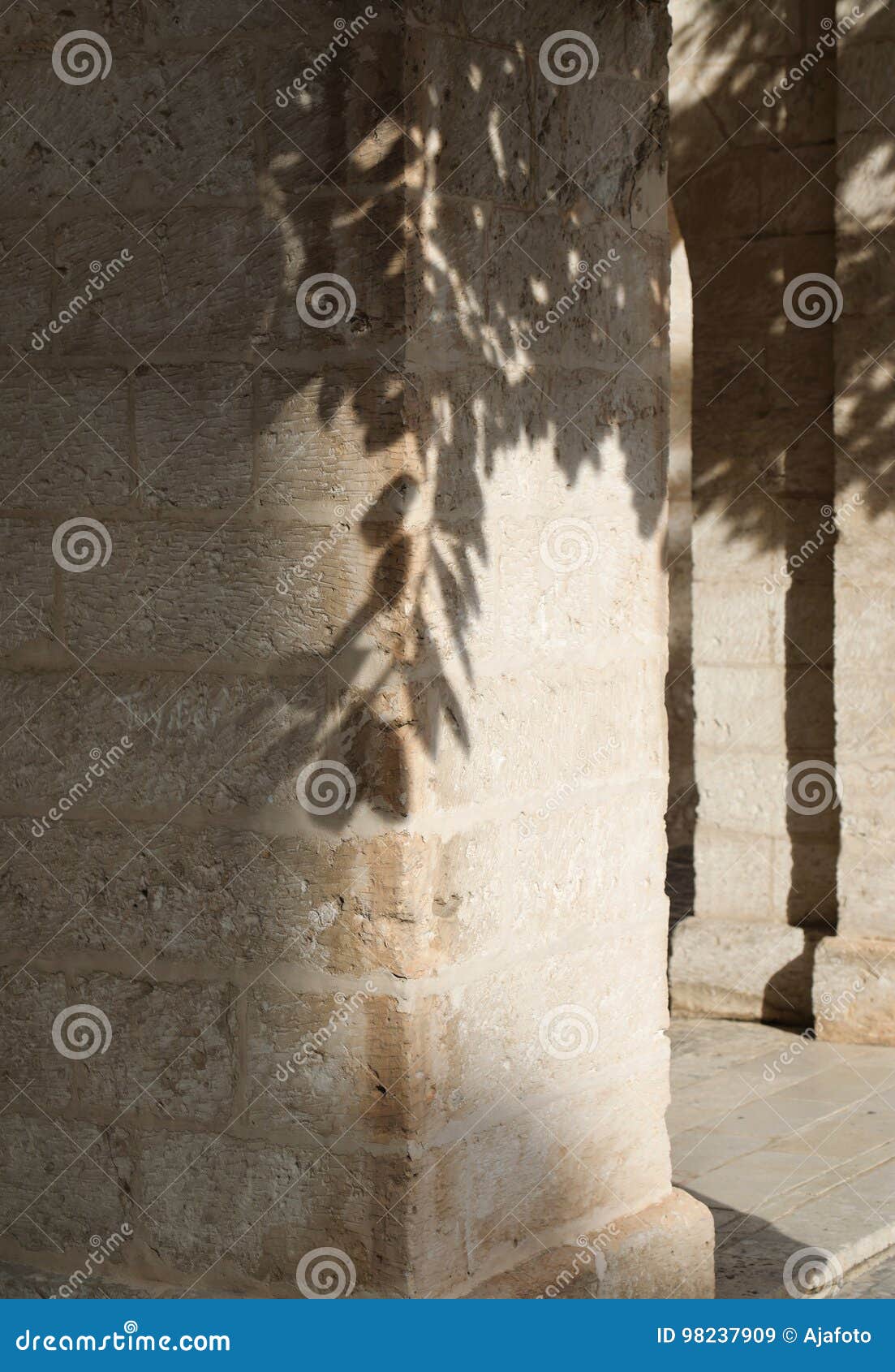 Shadows on arcade column stock image. Image of wall, detail - 98237909
