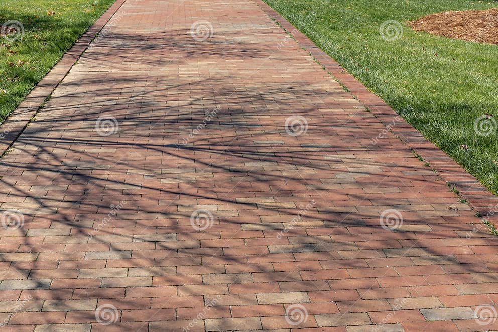 Shadows of Bare Trees Falling Across a Wide Brick Walkway, Creative ...