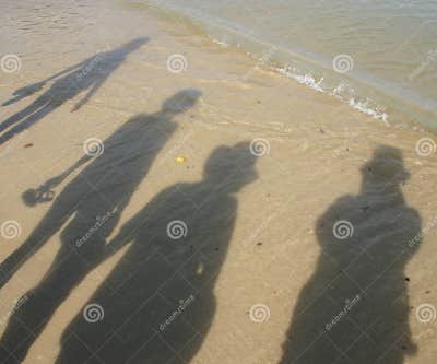 Shadows on the beach stock photo. Image of nature, asia - 10792140