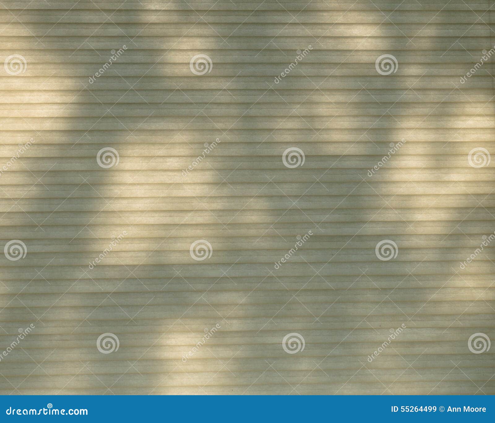 Shadows from Branches Outside Cellular Window Shade Stock Image - Image ...