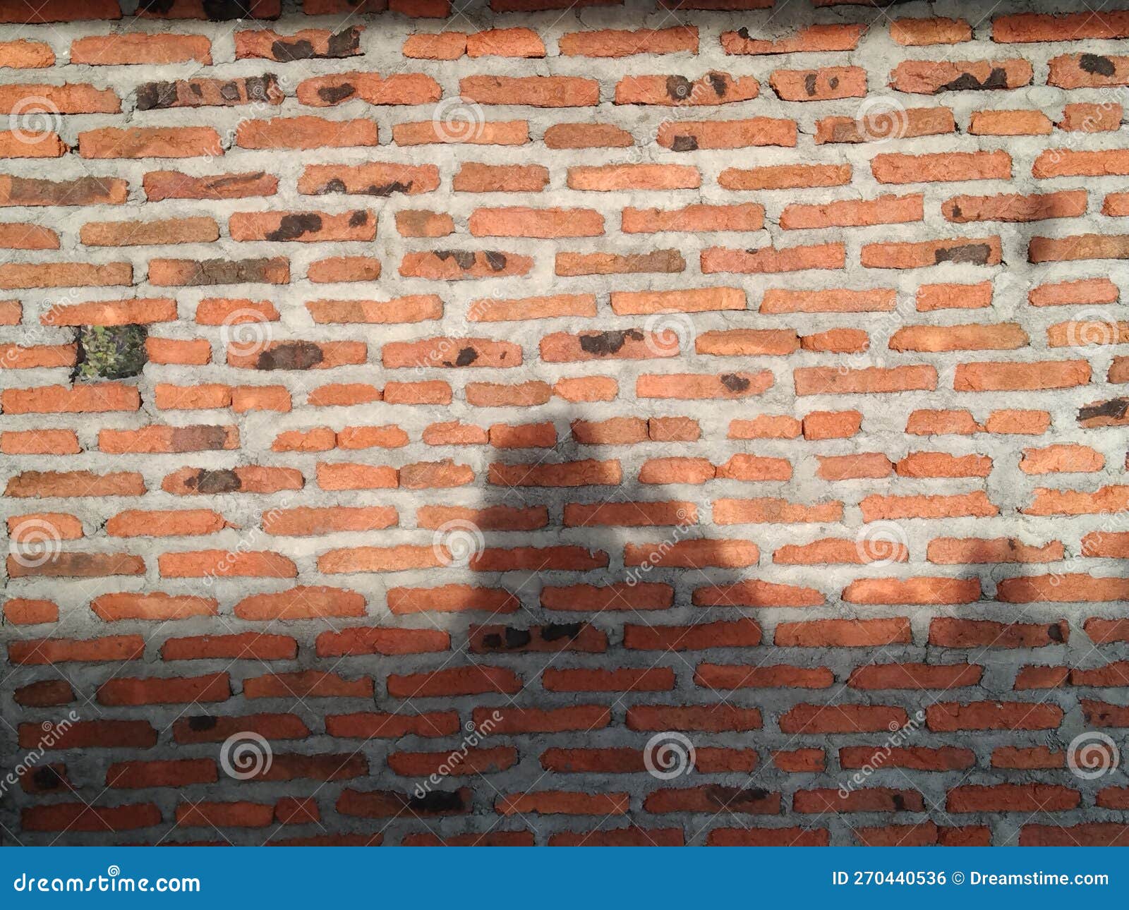 Shadows on the bricks stock photo. Image of asphalt - 270440536