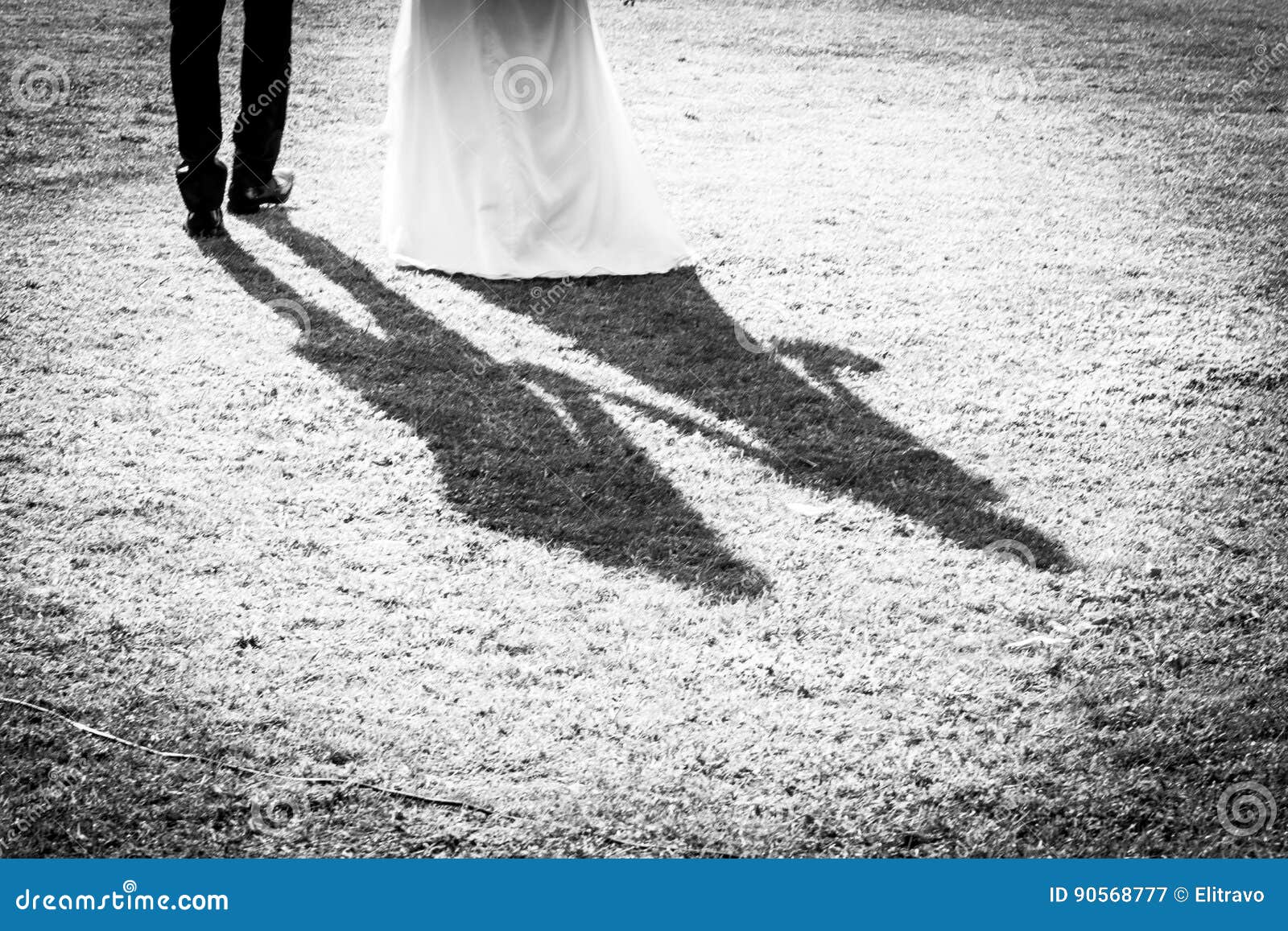 Shadows Bride and Groom Kiss Stock Image - Image of relationship, lawn ...