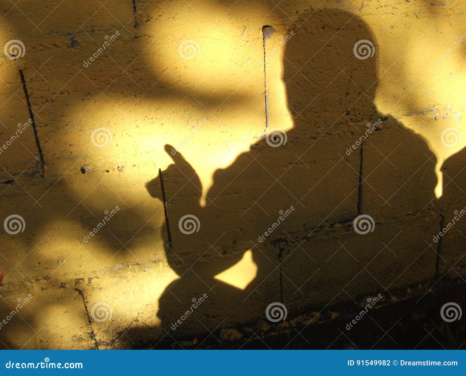 Shadows and contemplation stock photo. Image of wall - 91549982