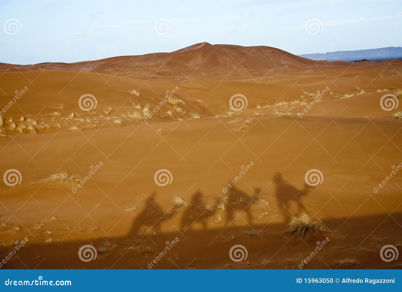 Shadows in the desert stock photo. Image of tunisia, sahara - 15963050
