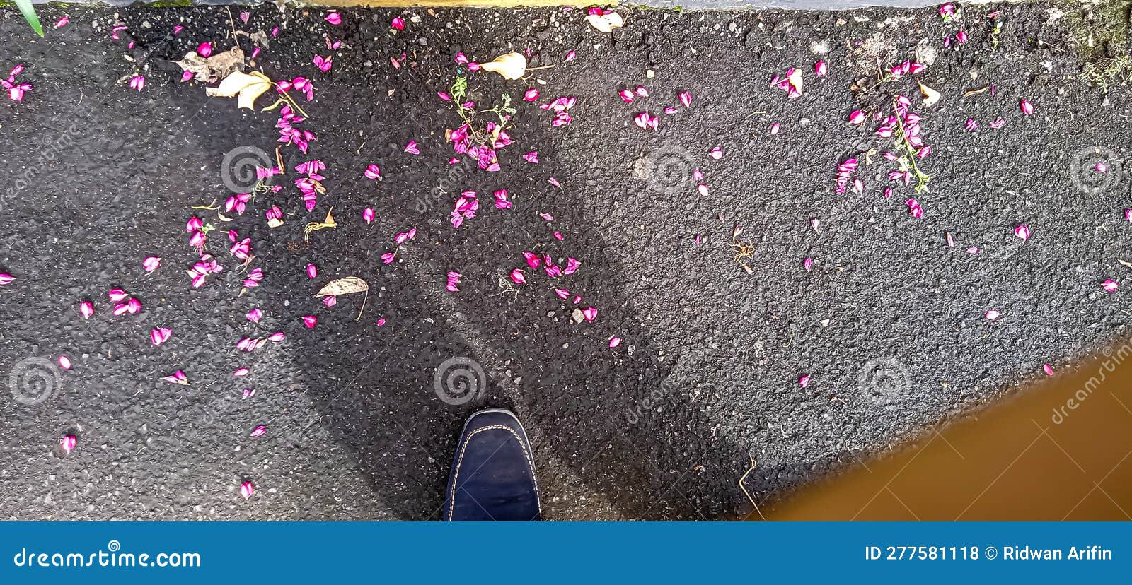 Shadows of Feet on the Ground Stock Photo - Image of walking, track ...