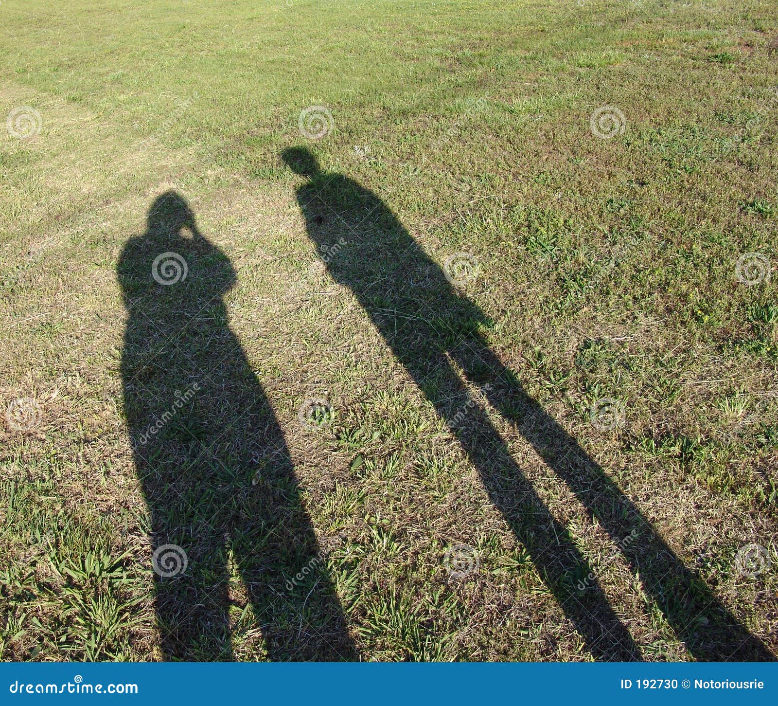 Shadows on a field stock photo. Image of project, shadow - 192730
