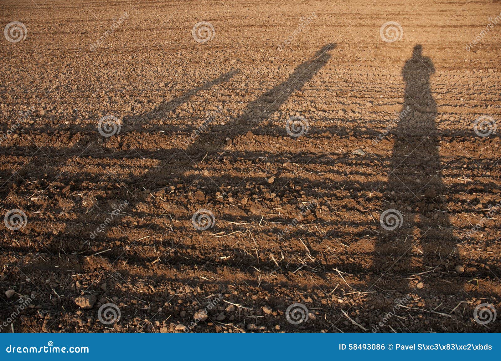 Shadows on the field stock photo. Image of nature, person - 58493086