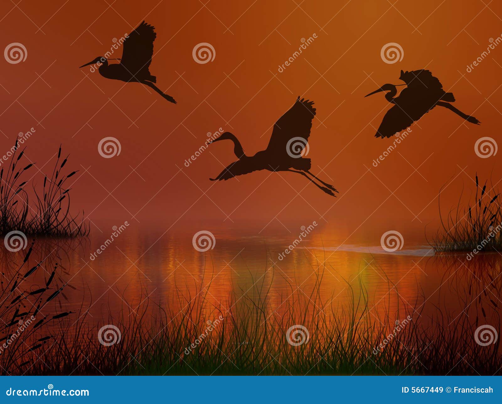 Shadows flying stock image. Image of peak, golden, birds - 5667449