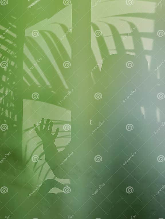 Shadow Formed from Sunlight Entering through Windows Stock Photo ...