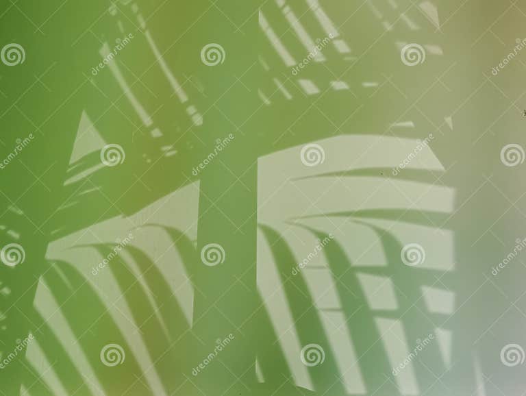 Shadow Formed from Sunlight Entering through Windows Stock Image ...