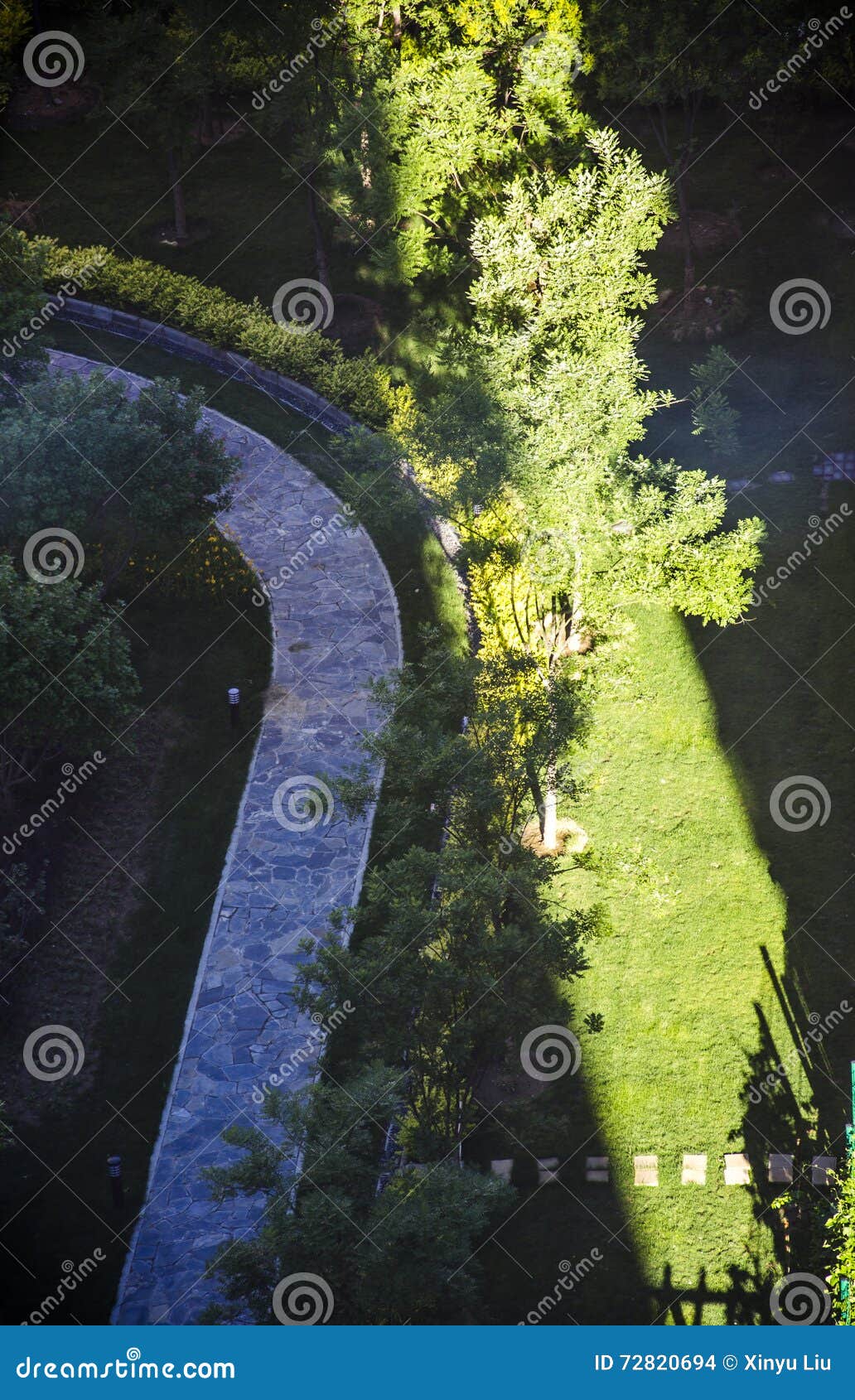 Shadows in garden stock photo. Image of garden, white - 72820694