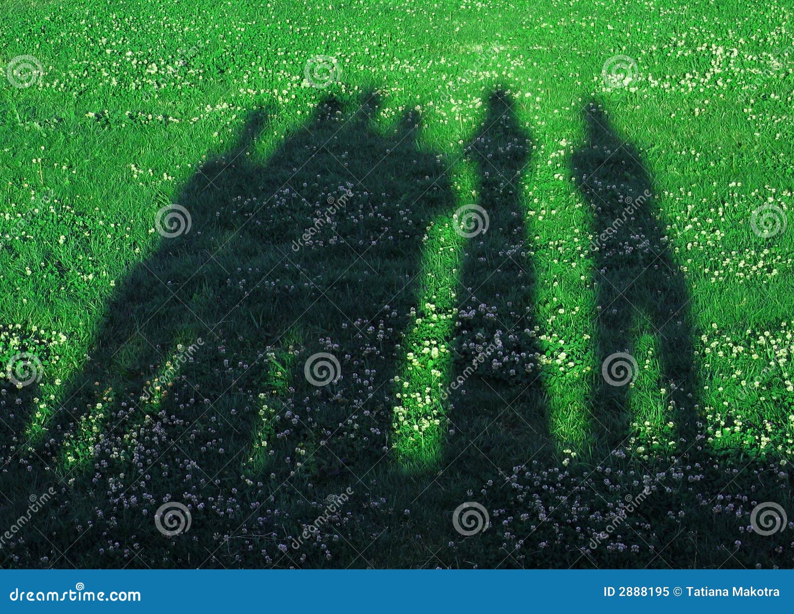 Shadows on a grass stock image. Image of playing, outdoors - 2888195