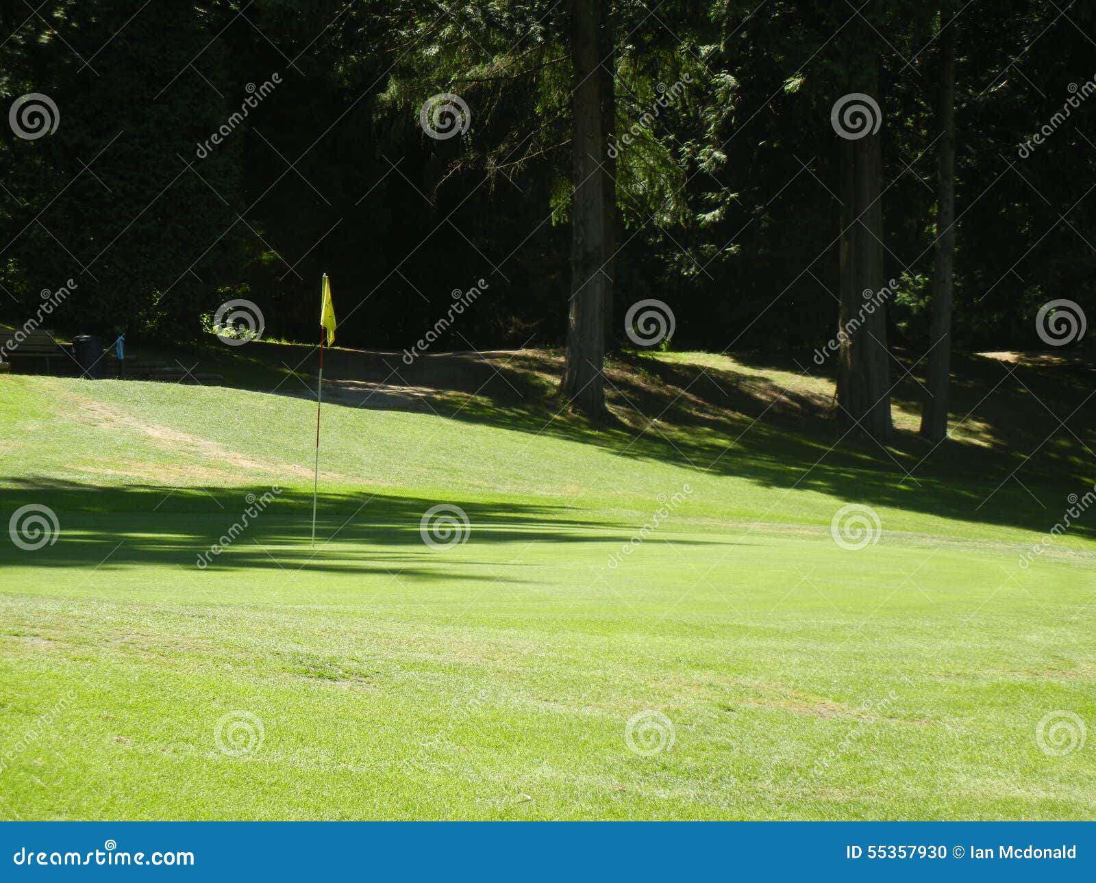 Shadows on the Green stock photo. Image of afternoon - 55357930