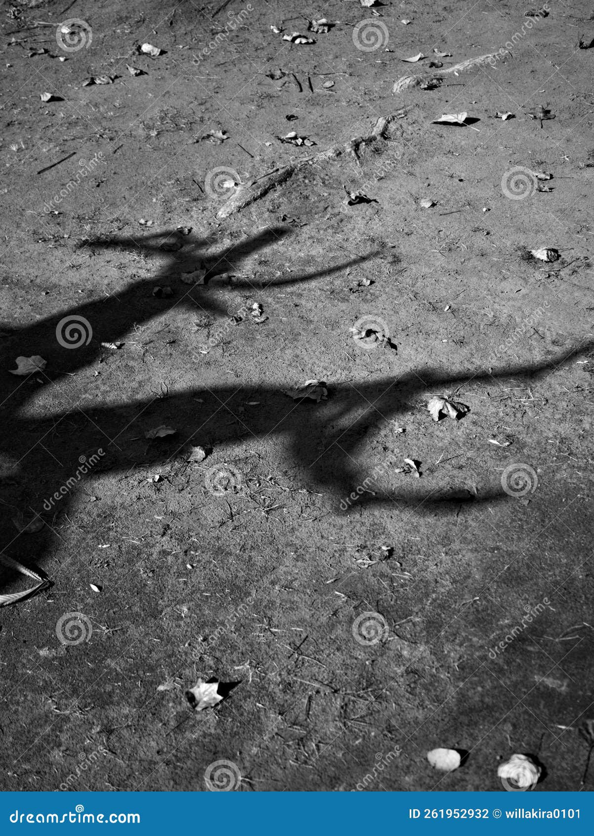 Shadows on the ground stock photo. Image of monochrome - 261952932