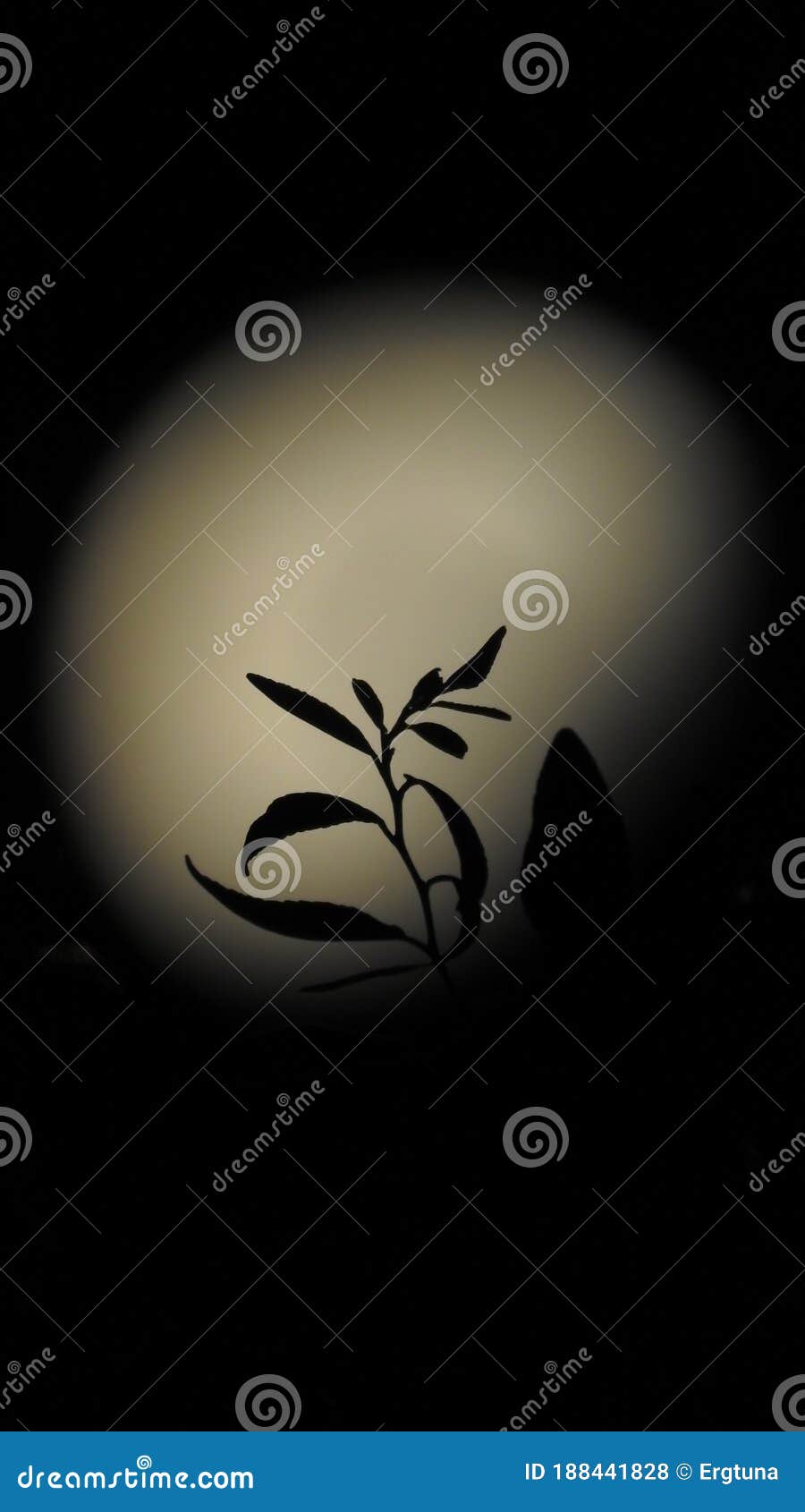 Shadows on the moon stock photo. Image of umber, landscape - 188441828