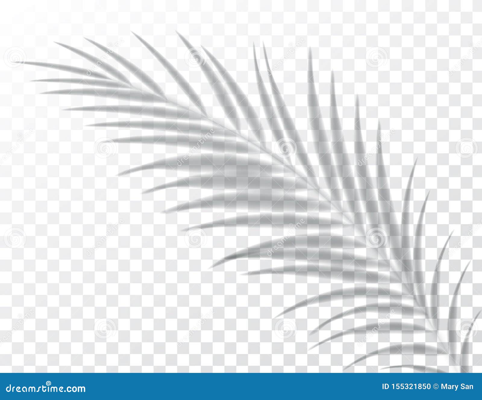 Shadows, Overlay Effects Mock Up, Leaf of Palm Tree Plant, Natural ... Shadows, Overlay Effects Mock Up, Leaf of Palm Tree Plant, Natural ...