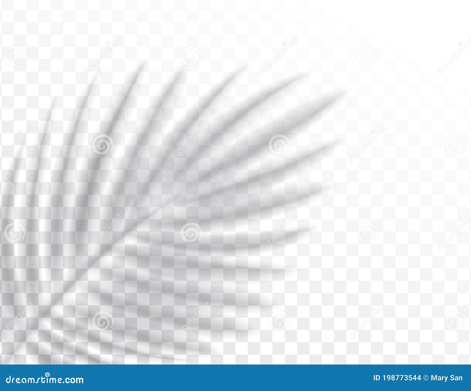 Shadows, Overlay Effects Mock Up, Leaf of Palm Tree Plant, Natural ... Shadows, Overlay Effects Mock Up, Leaf of Palm Tree Plant, Natural ...