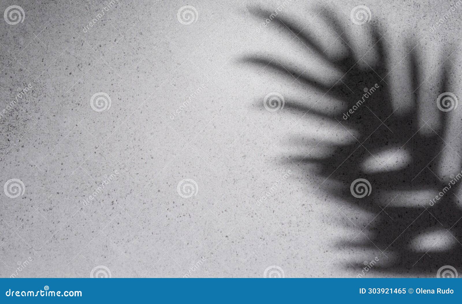 Shadows from palm leaves stock image. Image of leave - 303921465
