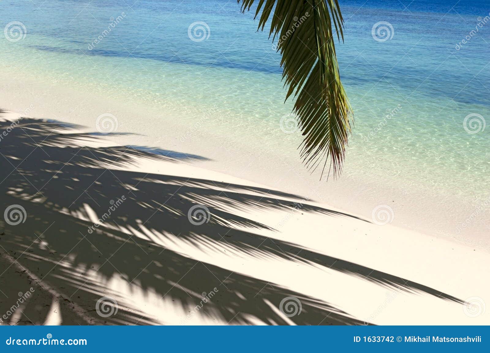 Shadows of the palm tree stock photo. Image of nautical - 1633742