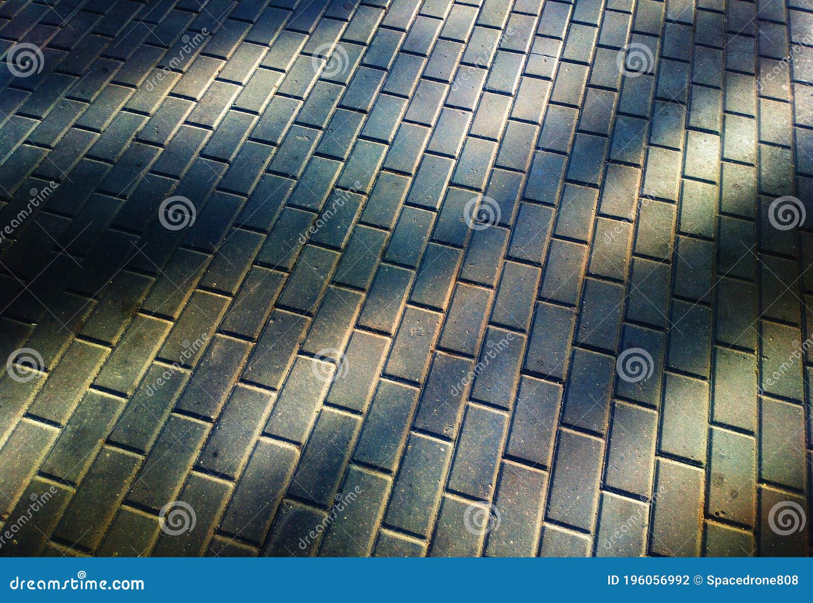 Shadows on Park Pavement Background Stock Photo - Image of scene ...
