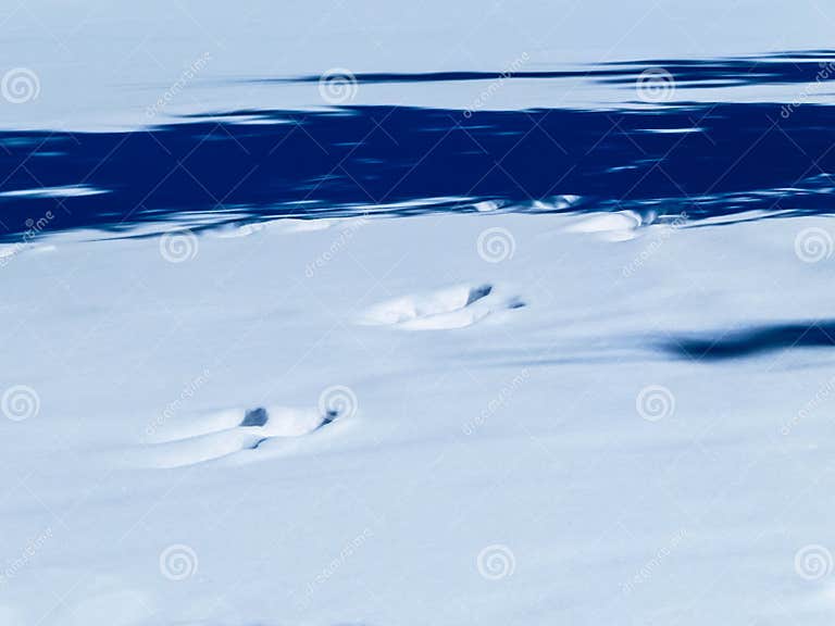 Shadows and Patterns on the Surface of Snow Stock Photo - Image of ...