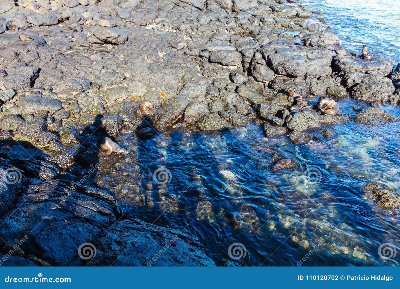 Shadows of People Projected in the Water and Rocks Stock Photo - Image ... Shadows of People Projected in the Water and Rocks Stock Photo - Image ...