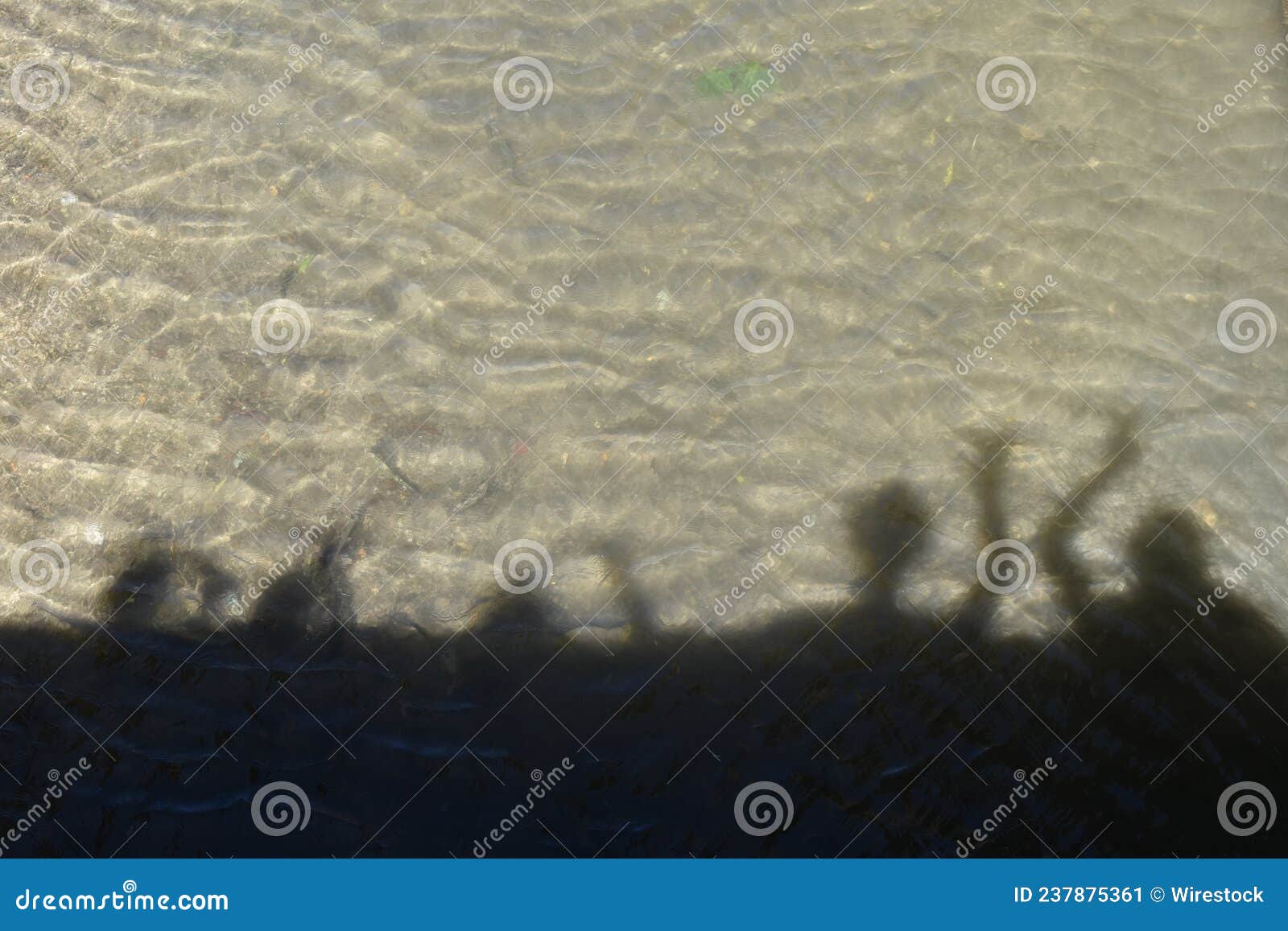 Shadows of People Reflected on the Sea Waves Stock Image - Image of ...