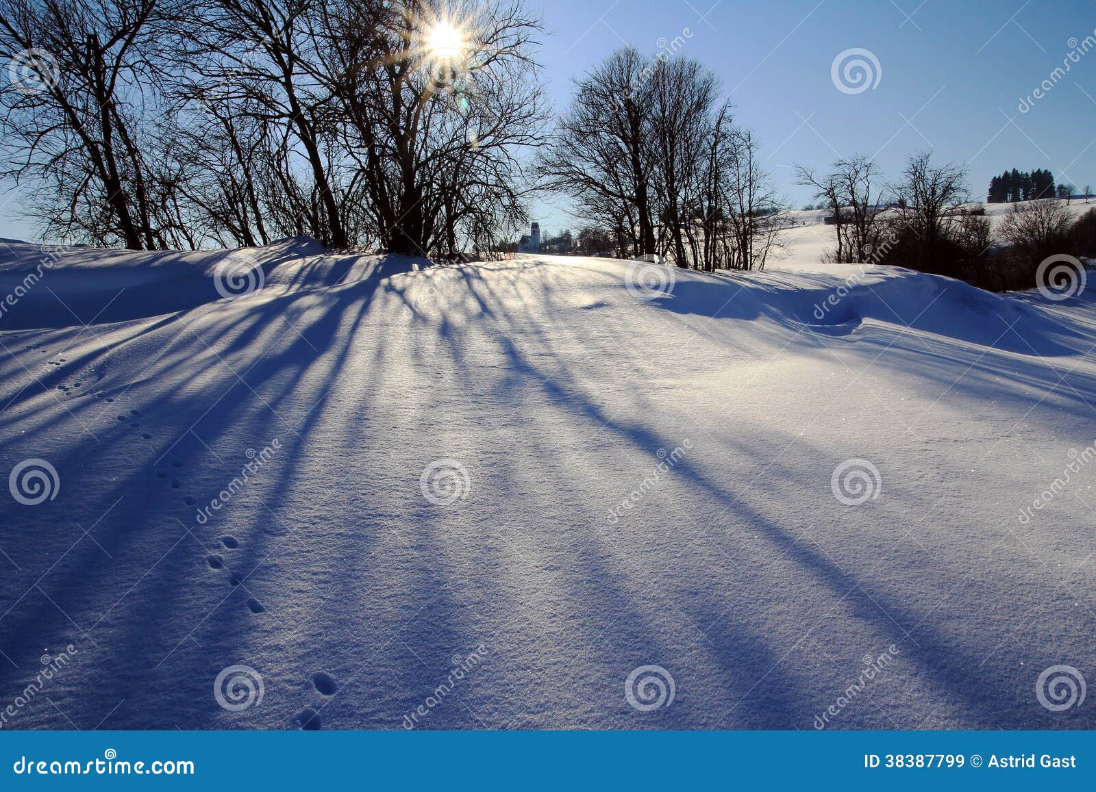 Shadows on the snow stock image. Image of tracks, traces - 38387799